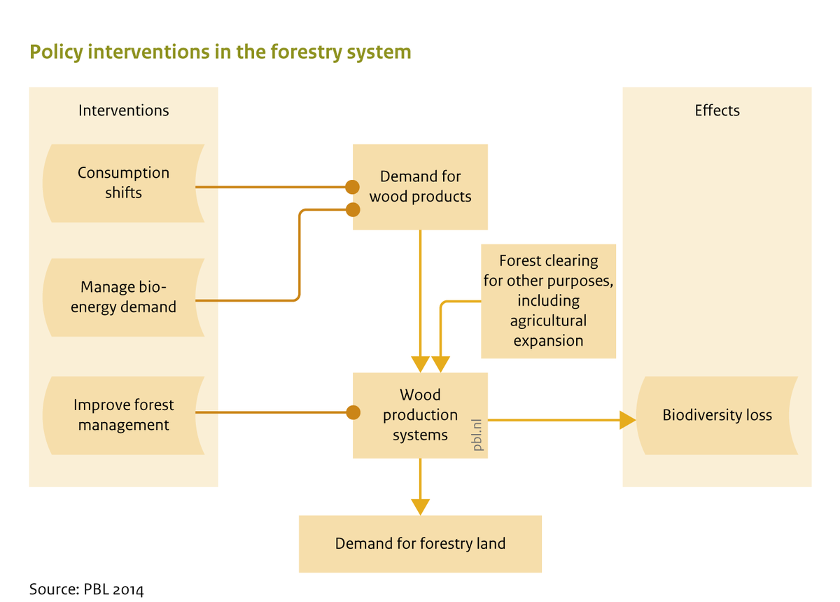 Flowchart Land and biodiversity policies (C) - IMAGE